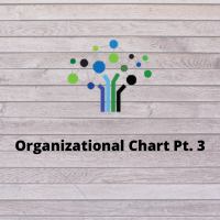 Organizational Chart Pt. 2 - Dental Success Network